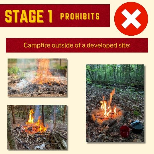 Understanding Coconino County's Stage 1 Fire Restrictions - Pinewood ...